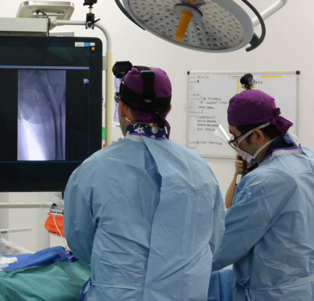 Lower Limb challenging Arterial Endovascular Recanalisation - Dottore ...